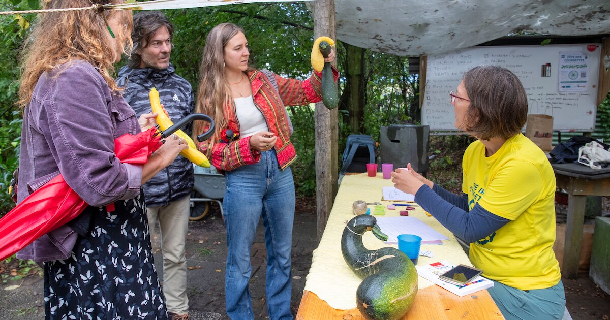De grootste courgette wint een thuiswedstrijd in Wageningen ...