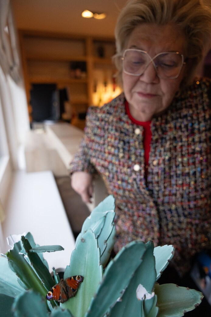 ‘Vrouw, ik wil dat mijn biljarttafel naar Glenn gaat’: de missie van ...