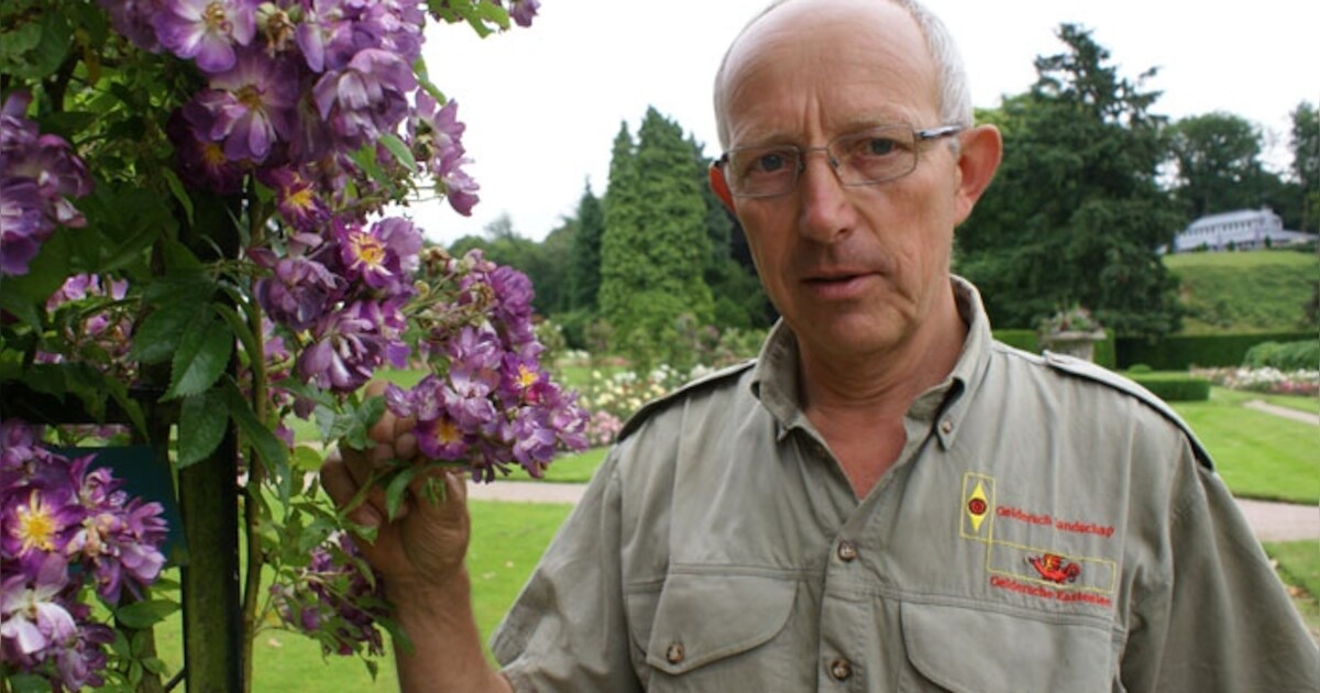 Altijd biologische bestrijdingsmiddelen | Arnhem | De Gelderlander.nl
