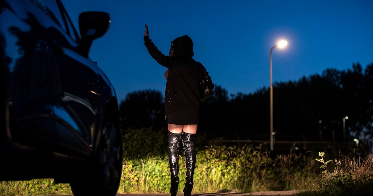 Van 45 prostituees naar een handvol: waarom de Arnhemse tippelzone nog ...