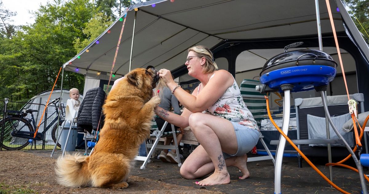 Op deze camping is het geluk van de hond minstens zo belangrijk als je ...