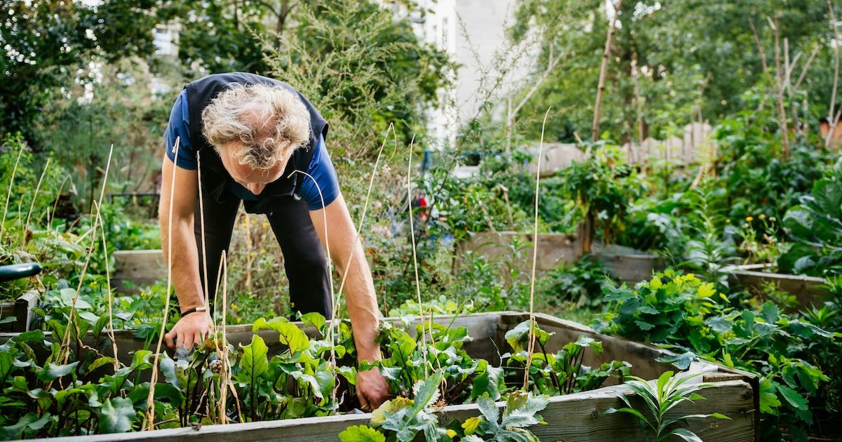 Van recyclen tot urban farming: dit zijn de trends in 2023 | Nieuws ...