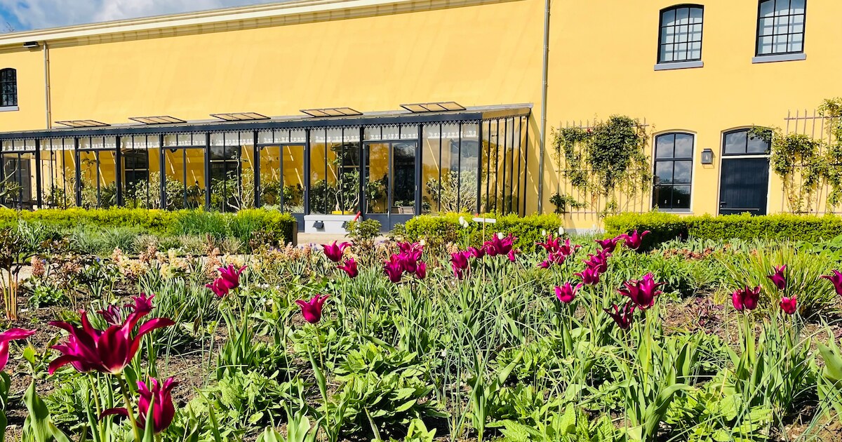 Open Tuinen Dag: Huis Landfort en vijf andere tuinen in grensstreek te bezoeken | Oude ...