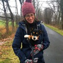 Hoe groeit een puppy op? ‘Ze zetten overal hun tanden in, ook in hun ...