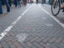 Pas op: in de binnenstad van Utrecht kun je een beer tegen het lijf ...