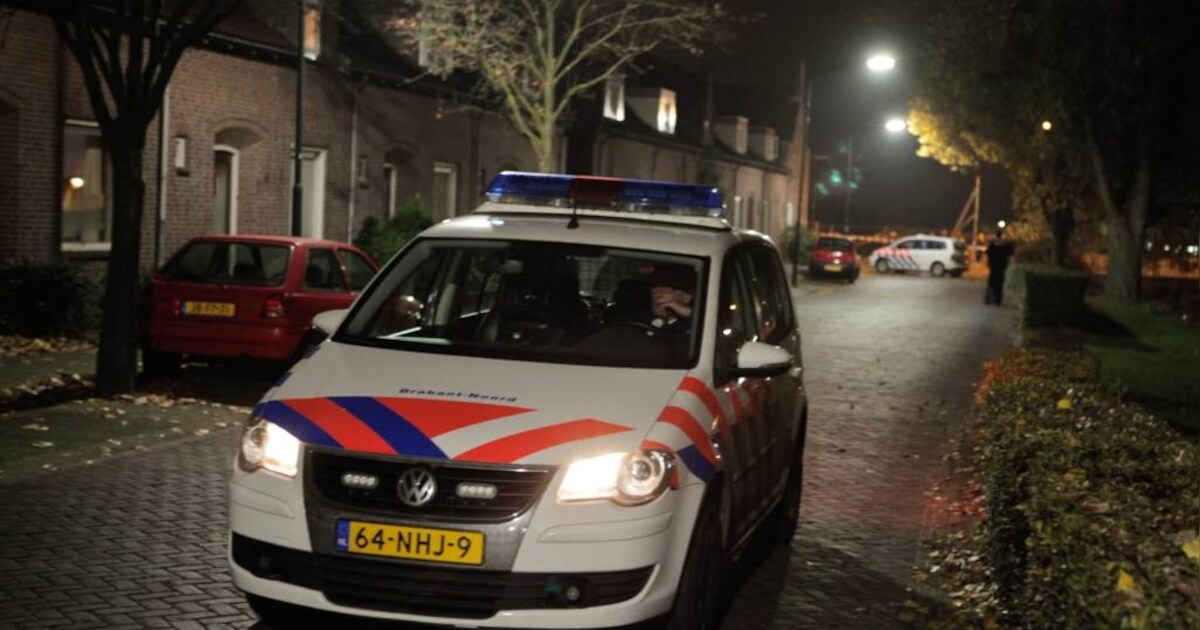 Scheve neus na mishandeling in Veenendaal | De Vallei | gelderlander.nl
