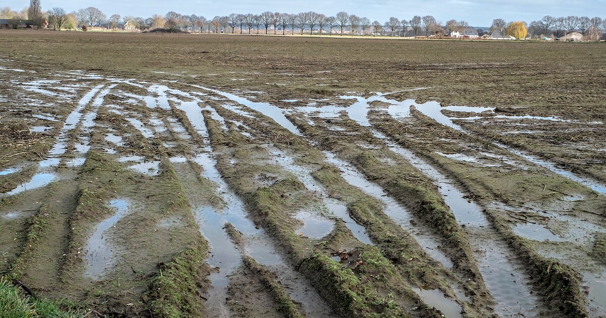 ‘De huidige temperaturen waren vijftig jaar geleden normaal voor april ...
