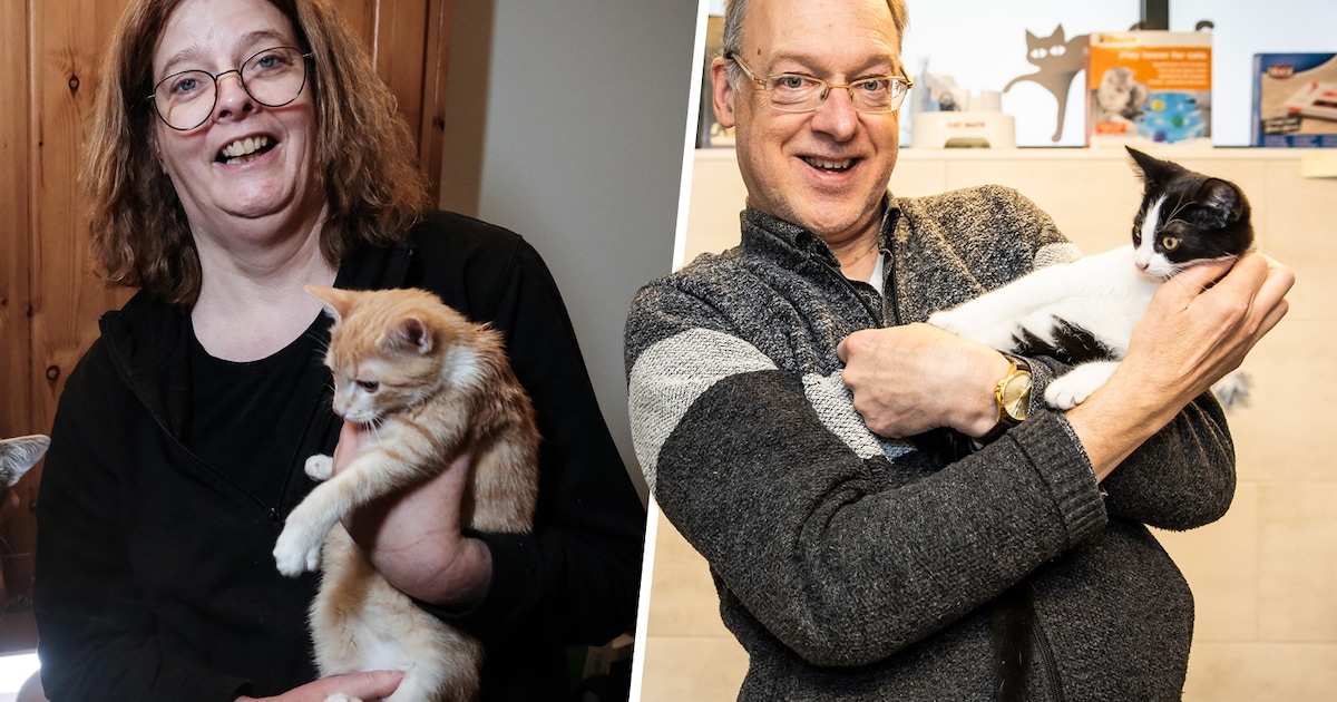 Moet je een huiskat wel of niet binnenhouden? Een voor- en tegenstander ...