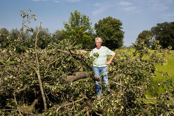 Heleen staat uur in brandende zon om leed van bomen te voorkomen: ‘Ik ...