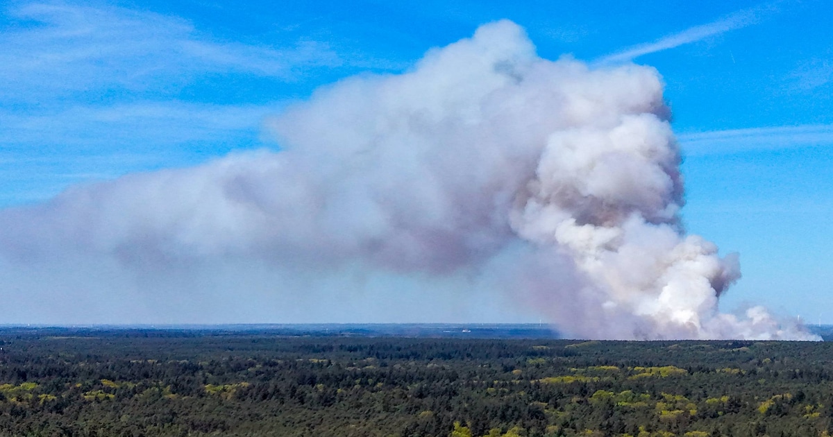 LIVE | Brandweer geeft sein brand meester voor grote natuurbrand op ...