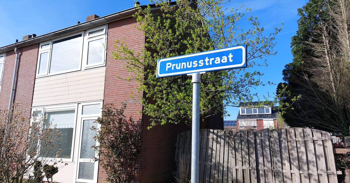 Sloop en nieuwbouw in De Ooi in Doesburg: 23 extra huizen in strijd tegen woningnood | Doesburg ...