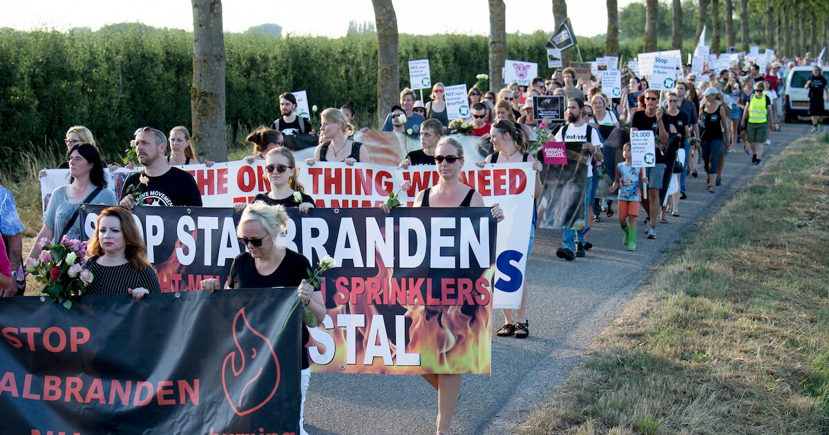 Dierenactivisten willen imperium van omstreden ‘varkensbaron’ ten val ...