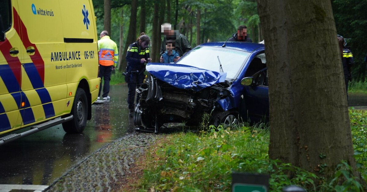 Zware botsing bij Vorden: auto belandt bijna in sloot | Regio | De ...