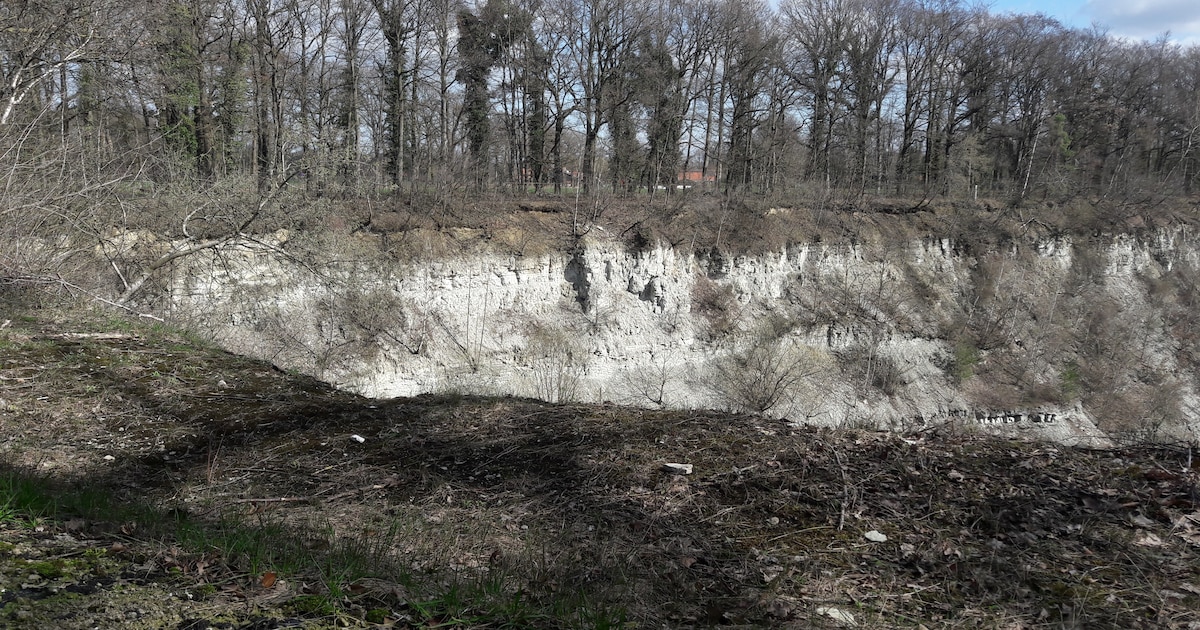 Excursie biedt kijkje in Winterswijkse Steengroeve | Winterswijk | De ...