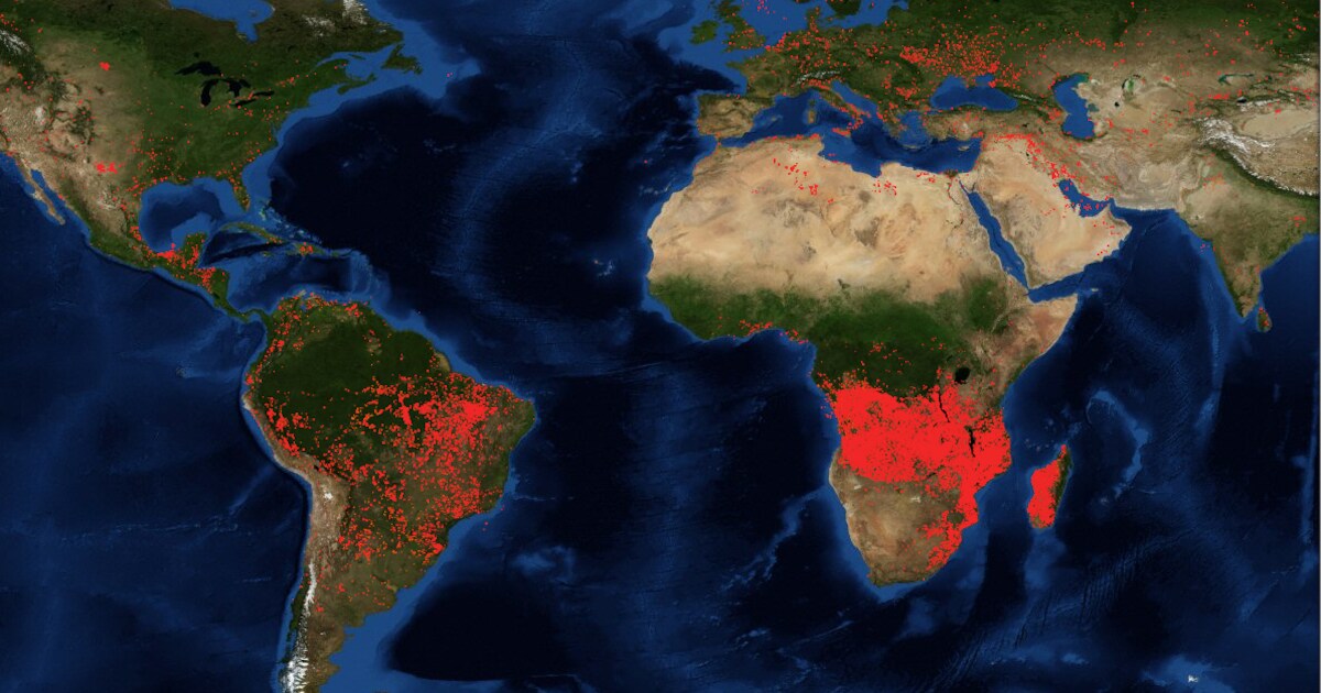 Drie keer meer brand in Congo dan in Brazilië, maar het is niet ...