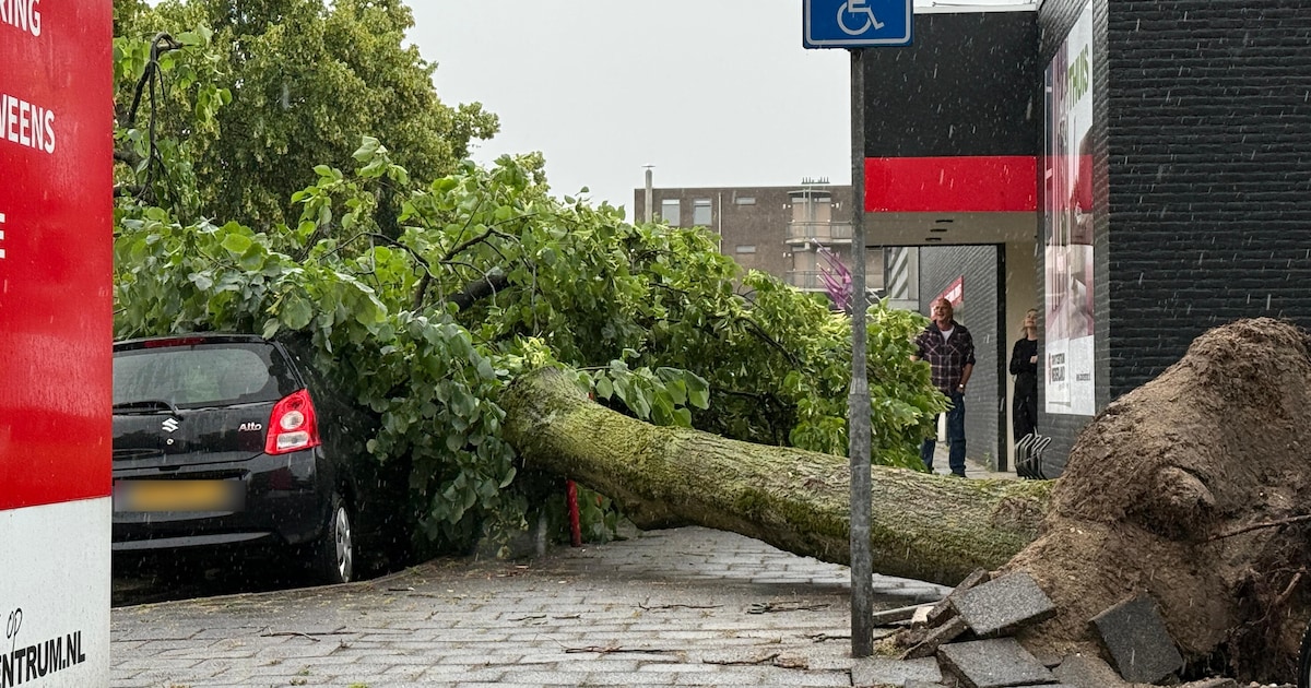 Uden getroffen door noodweer: auto’s beschadigd door vallende bomen ...