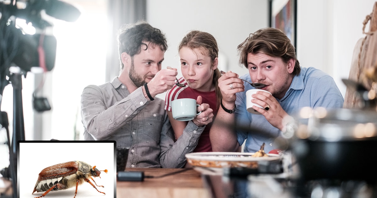 Ook zoveel meikevers in de tuin? Maak er soep van! (En zo smaakt die ...