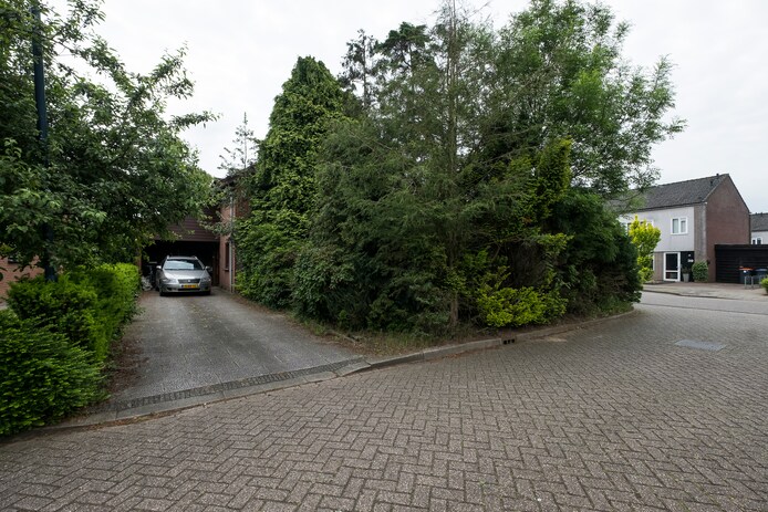 Het loeder van Terborg verdween met miljoenen en haar gezin ...