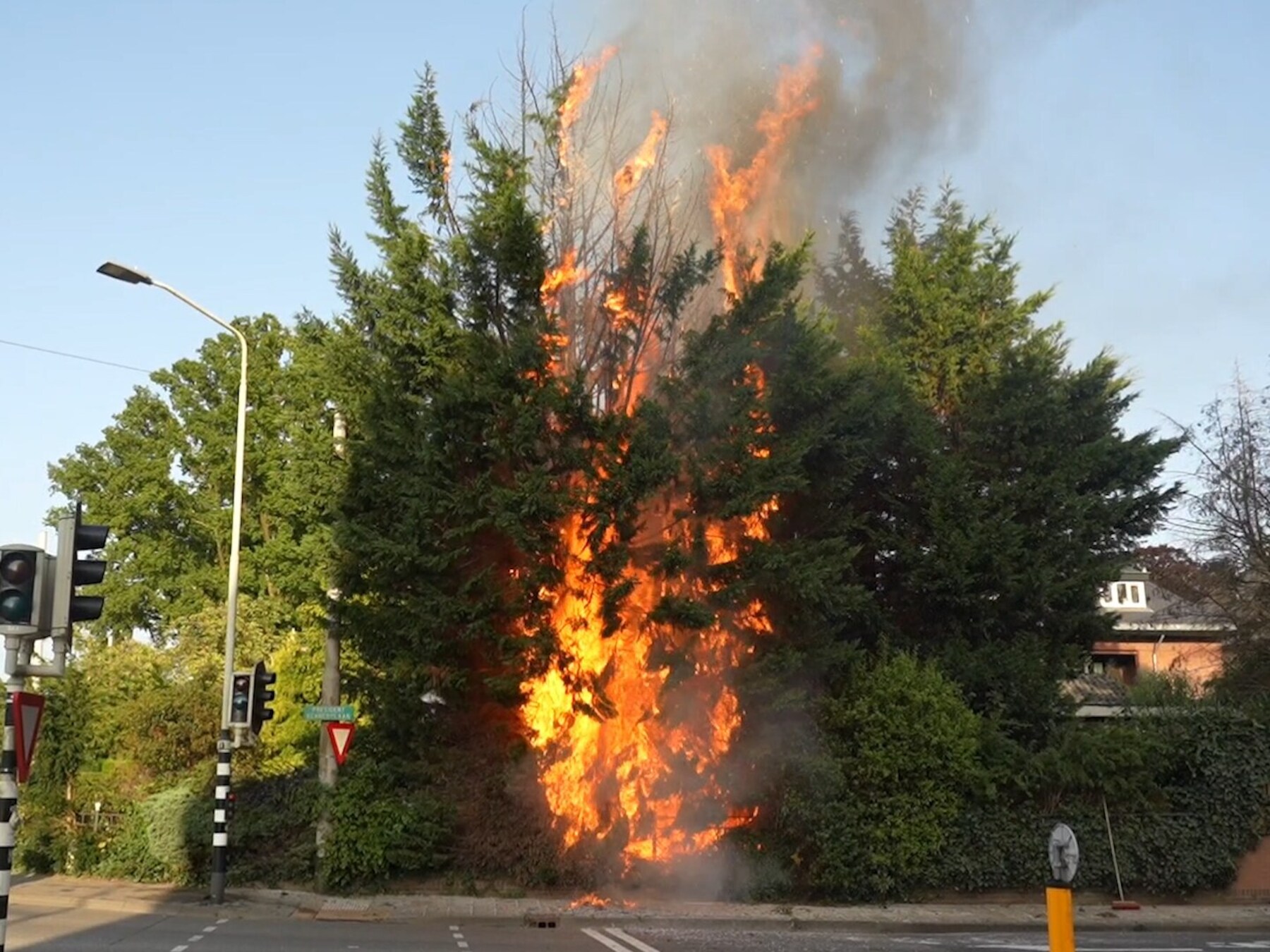 Kaptein Mobylette nog steeds in straatbeeld | Arnhem | De Gelderlander.nl