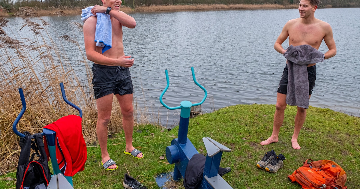 IJskoude hobby: Winterse waterratten hebben nu een eigen ‘Dipdag ...