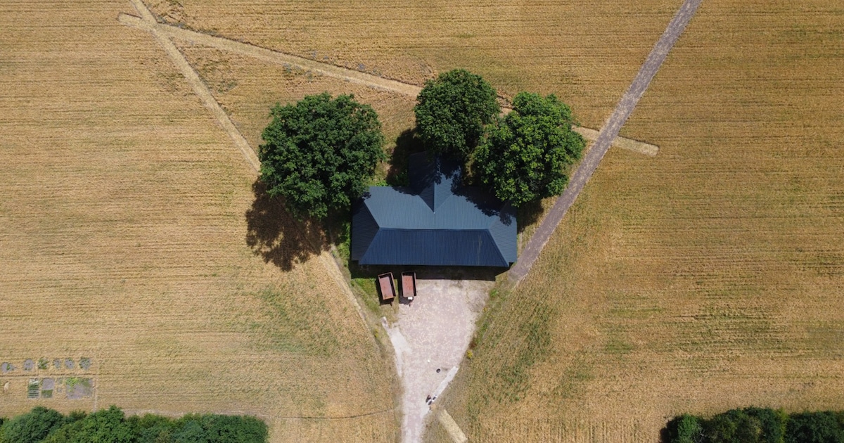Kunst en landbouw komen samen bij Arnhemse vliegtuighangar uit Tweede ...