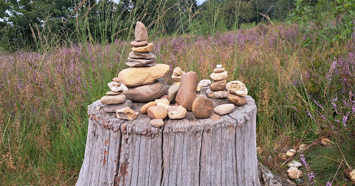 Gidsen vertellen over ijstijden, stuwwallen en zwerfkeien tijdens ...