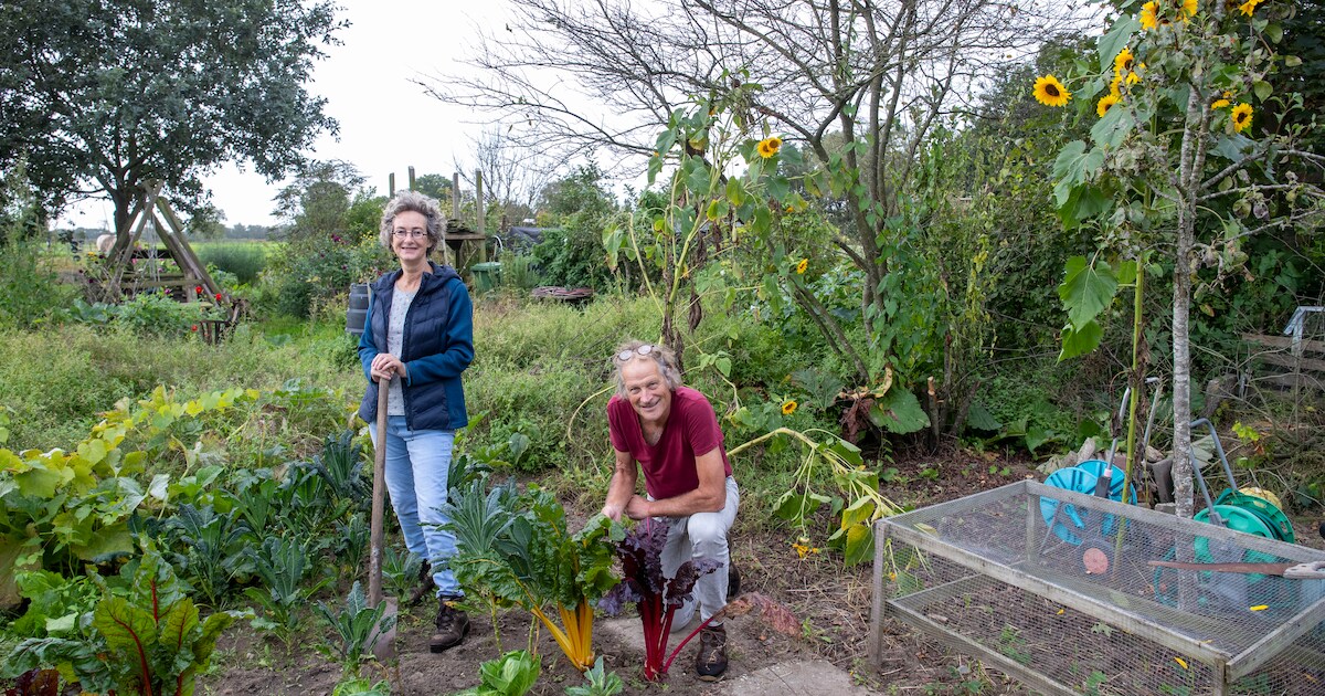 Volkstuinders verliezen ‘paradijsje’ door verkoop grond: ‘Als er iemand ...