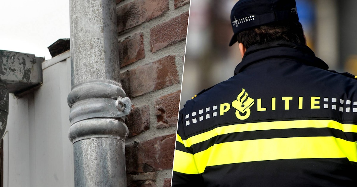 Agent vreest jaren voor weggelopen meisje, dan hoort hij eindelijk hoe ...