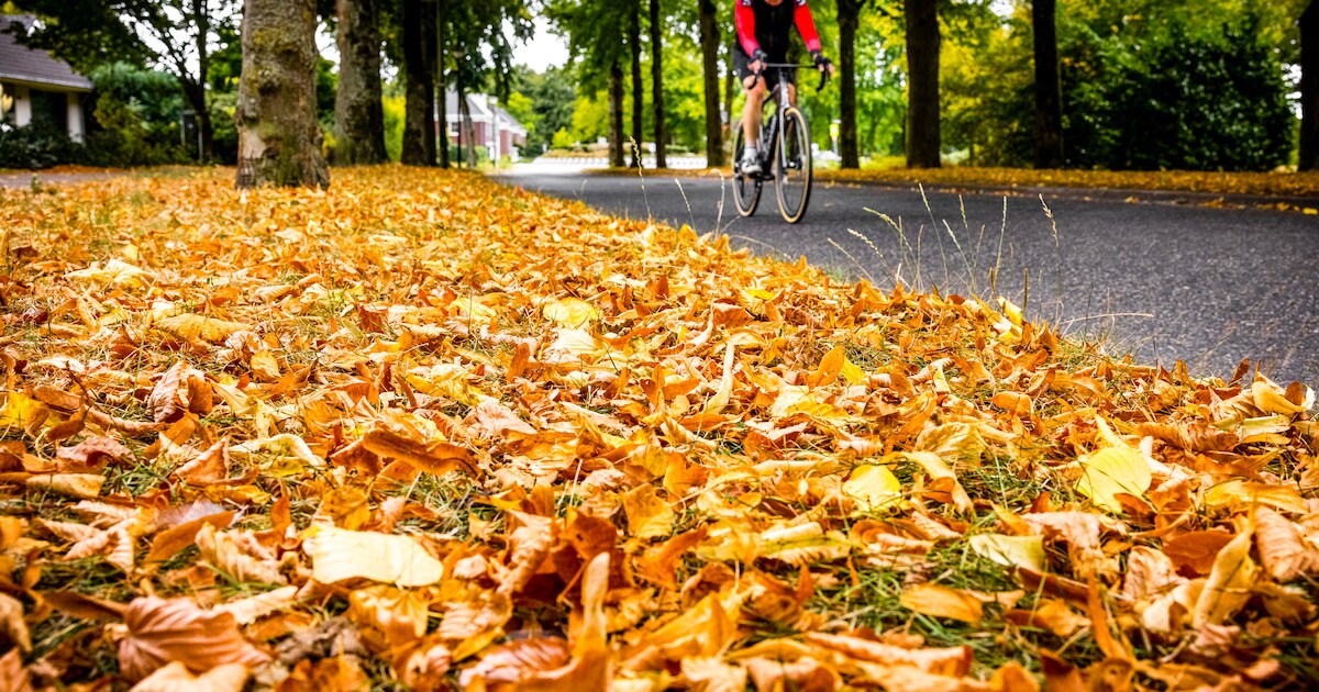 Er is al wat stamelende rook te zien, maar nog geen vuur | Thomas ...
