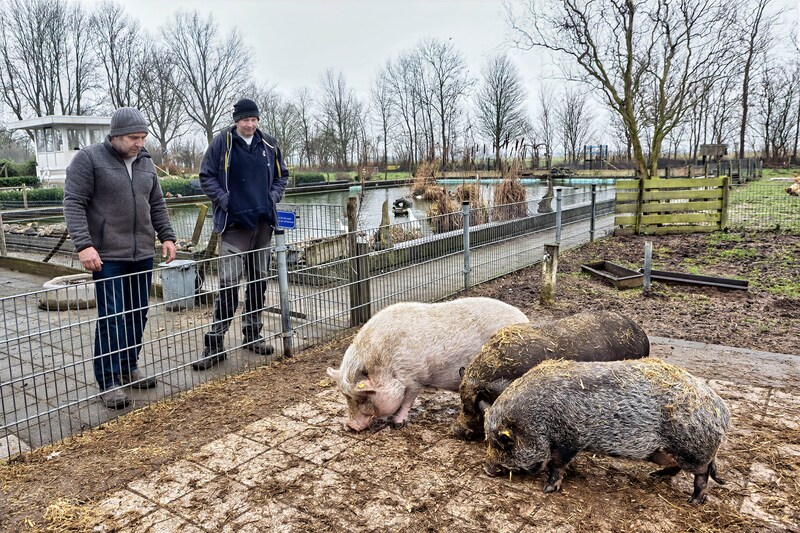 Dierenparkje Genderen stopt na hooglopend conflict met gemeente: ‘Vies ...