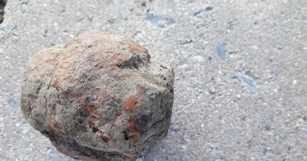 Joanneke vindt iets vreemds tussen de aardappelen: ‘Mijn vader wist meteen wat het was ...