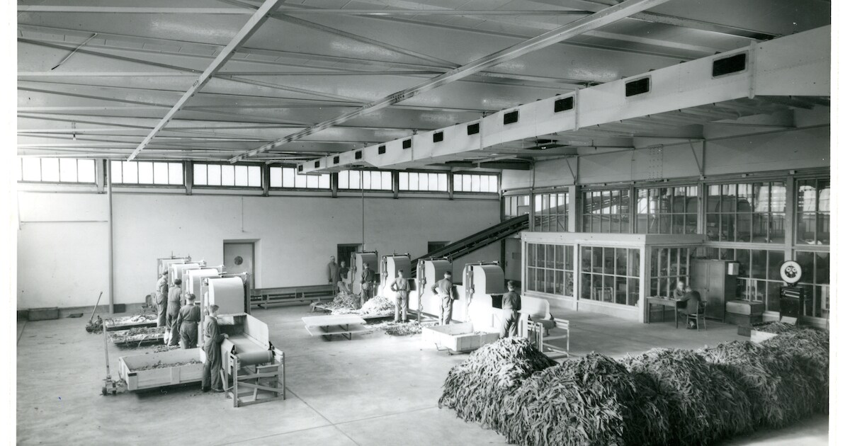 Poll: meerderheid wil naam Turmac terug in Zevenaar | Zevenaar | De ...