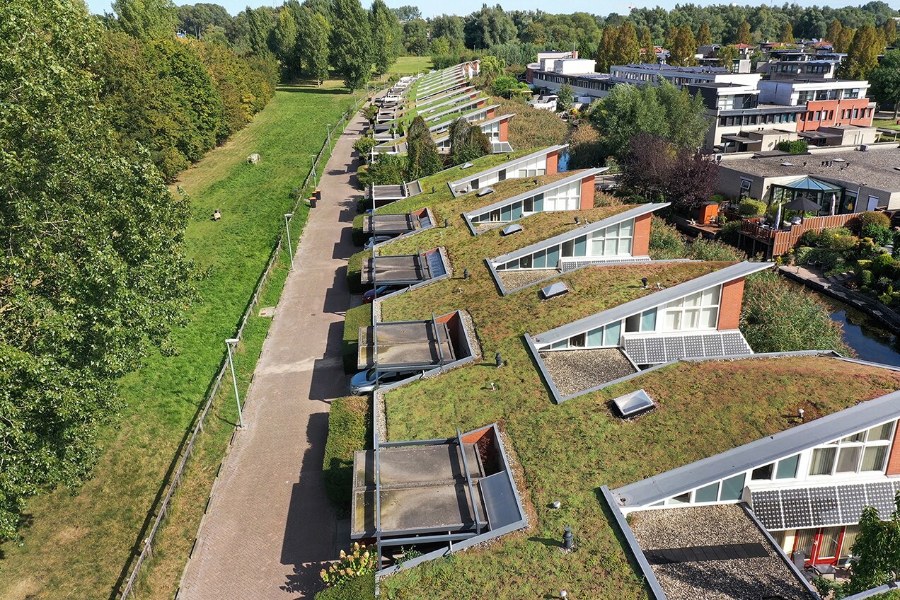 Waarom zijn nog lang niet alle daken groen? ‘Als iedereen dit doet ...