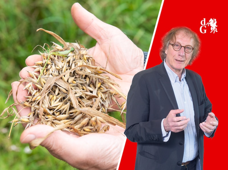 Naakte haver, je kunt het werkelijk op ieder moment eten | Extra | De ...