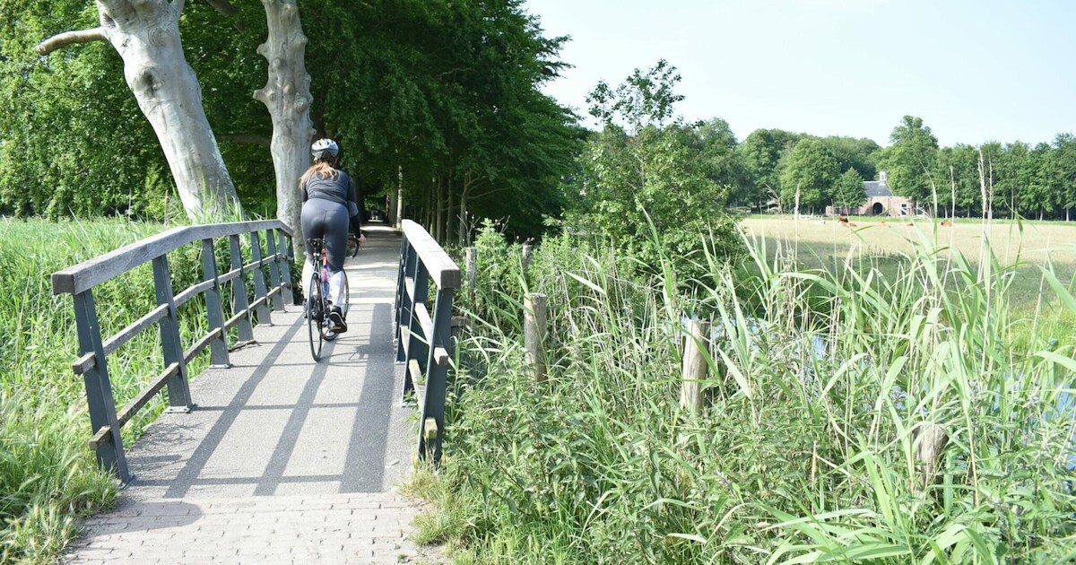Met je stalen ros door weiland en bos: deze mooie fietsroute start ...