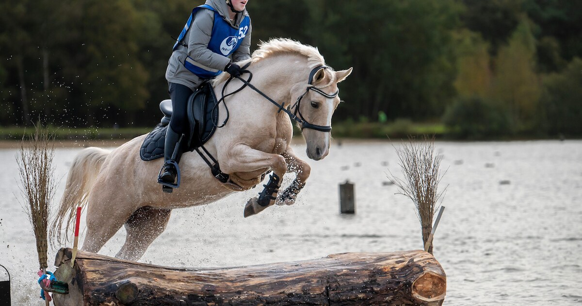 Strand Tien en Geffense Plas decor van bijzonder paardensportevenement ...