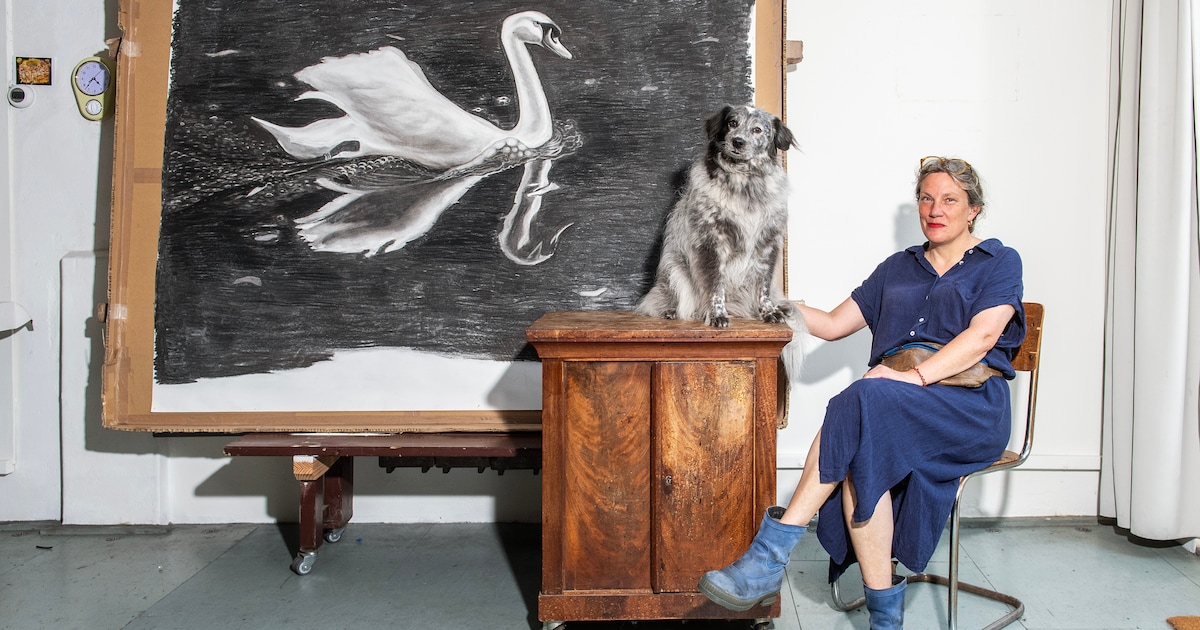 Rosemin heeft iets met zielige honden, maar zwerfhond Moena poseert nu ...