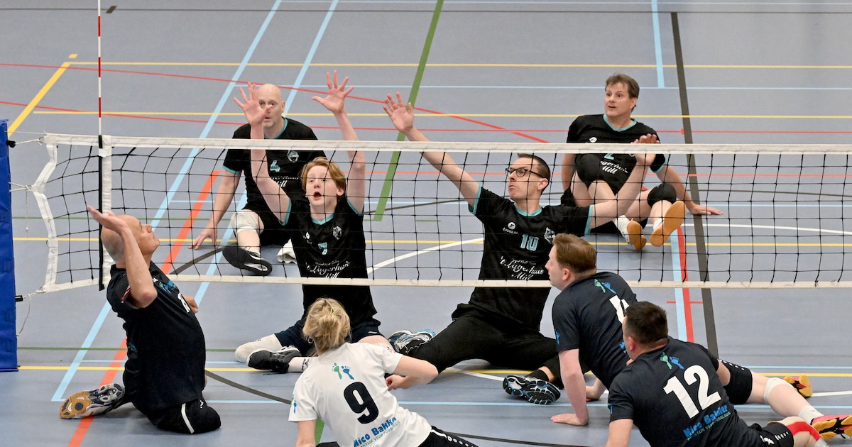 Nieuwe coach kan het gemis van spelverdeler bij zitvolleybalploeg Vamos ...