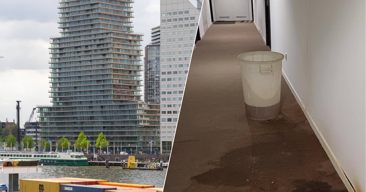 Bewoners peperdure appartementen zijn huurstijging ondanks overlast zat ...
