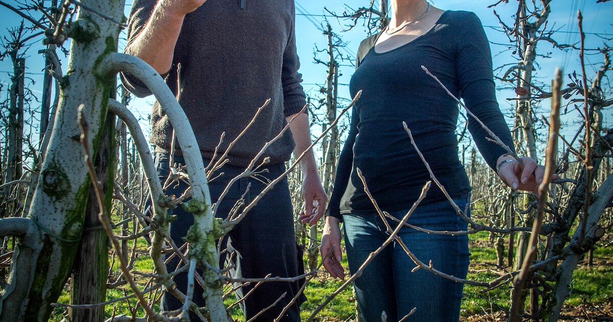 René en Thea Elshof telen de Elshof Elstar in Balgoij | Maas en Waal | De Gelderlander.nl