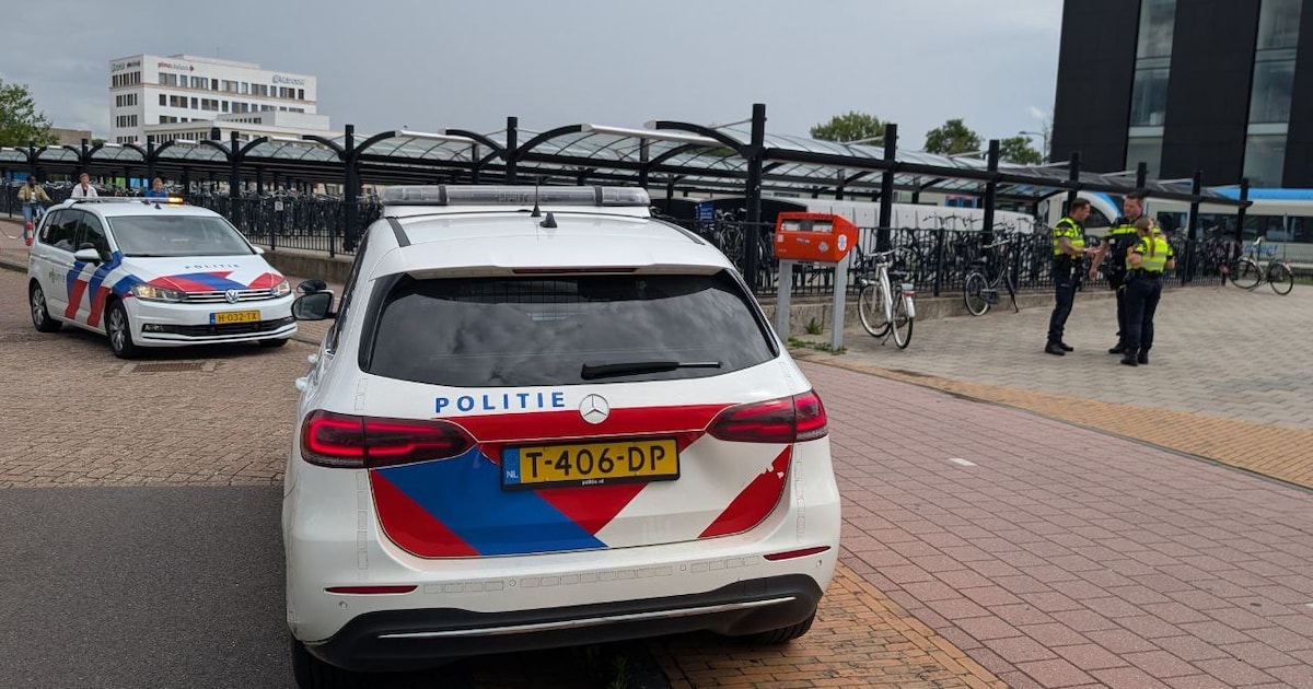 Politie zoekt getuigen van ruzie tussen 20 jongeren op station Doetinchem | Doetinchem | De ...