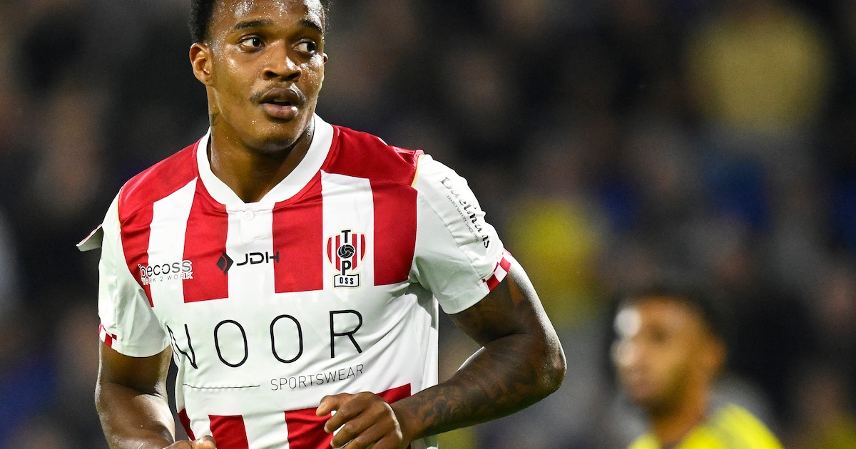 TOP Oss-aanvaller Joshua Zimmerman hard op weg naar gevallen Poolse ...