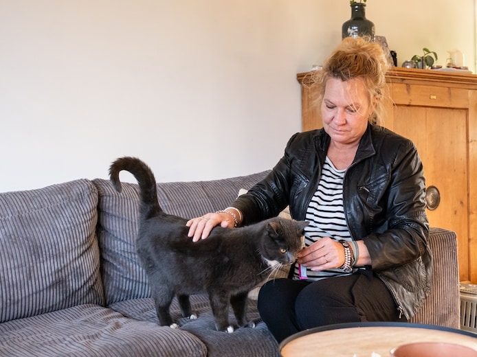 Opluchting voor Liesbeth: vermiste kat George duikt na jaar op ...