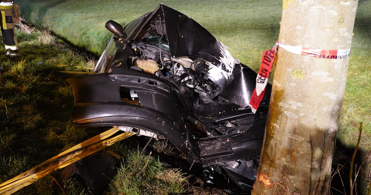 Vrouw raakt gewond door botsing met auto tegen boom, voertuig belandt in sloot | West Maas en ...