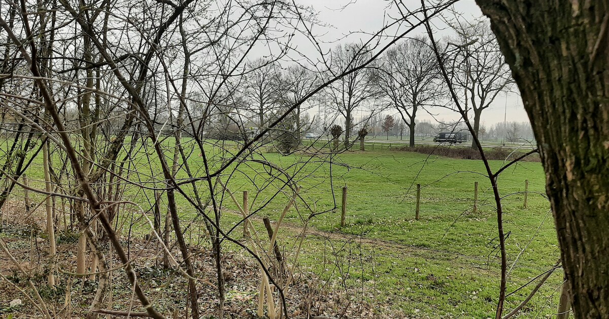 Angst dat huizen dit landschapsmonument gaan verdringen: ‘Een uniek en ...