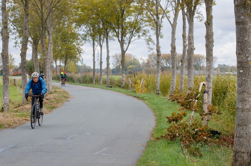 Tragische dodelijke ongevallen en massale demonstratie bij de WUR: dit ...