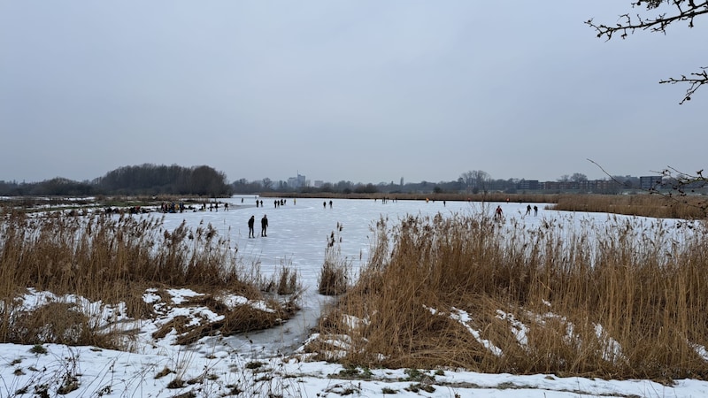 LIVE Sneeuw | Volop schaatsen op natuurijs: ‘Geniet ervan zolang het ...