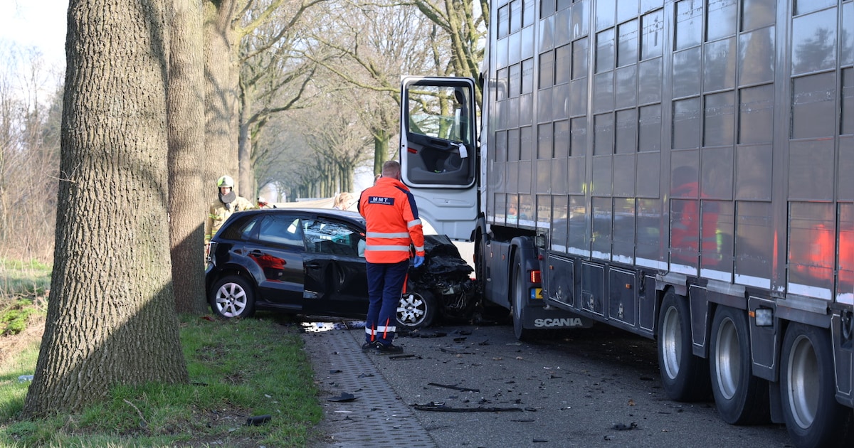 Dode bij botsing tussen auto en vrachtwagen is moeder (42) van neergestoken kinderen | Land van ...