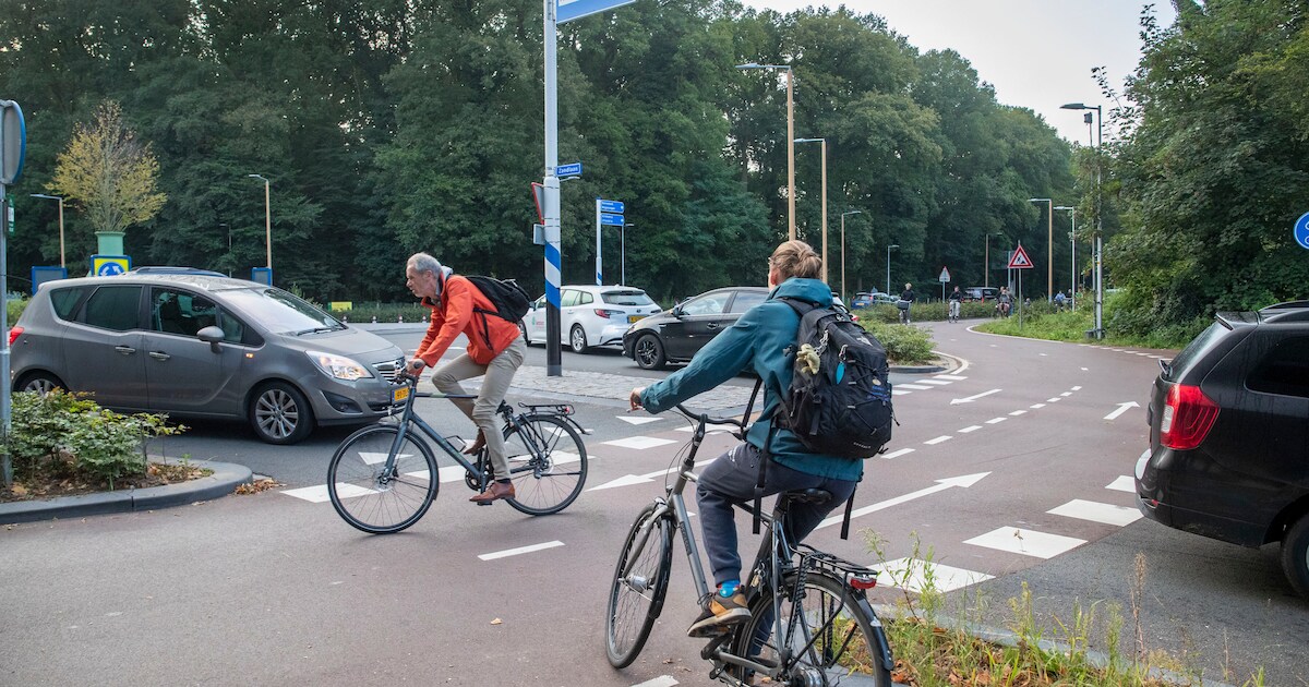 Ede zal rotonde aanpassen als dat écht nodig is, ook als dat veel geld ...
