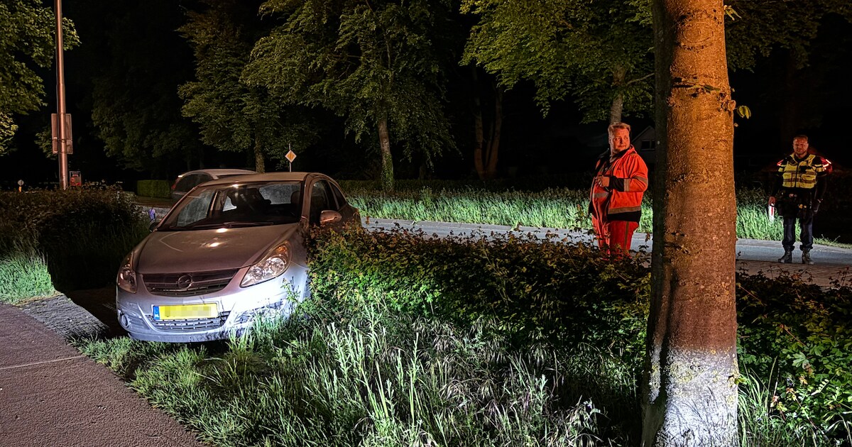 Dronken automobilist valt in slaap op bijzondere locatie | Land van Cuijk | De Gelderlander.nl